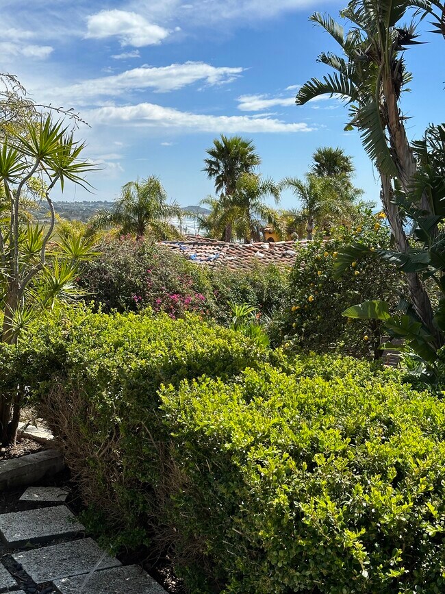 31214 Bailard Rd | Rentals in Malibu, CA