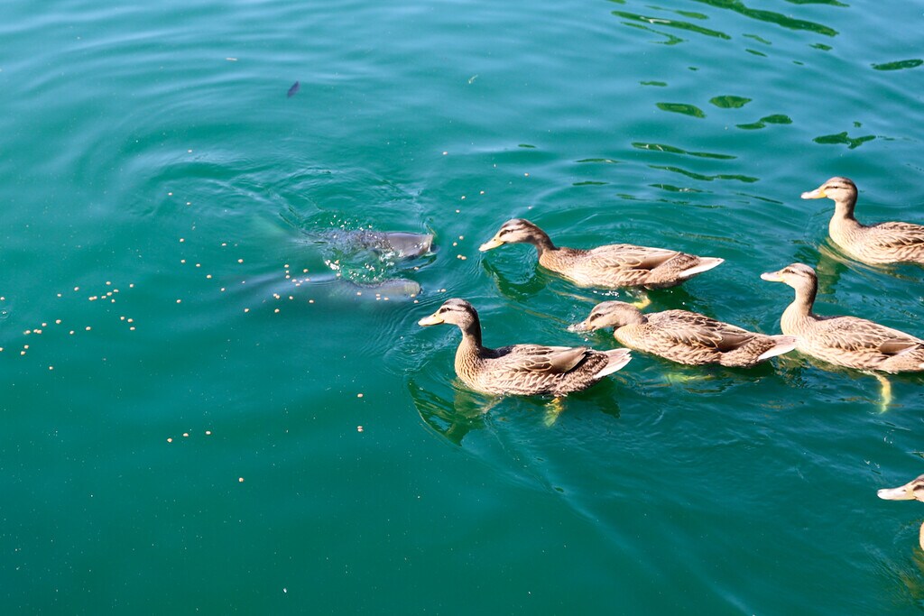 The Columns Apartments | Springfield, MO Apartments