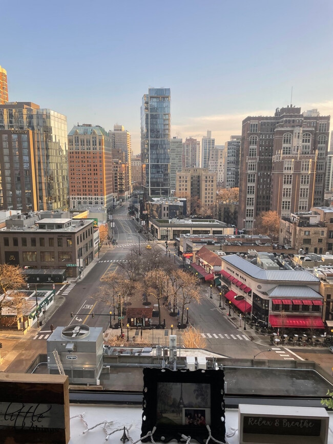 2 E Oak St | Rentals in Chicago, IL