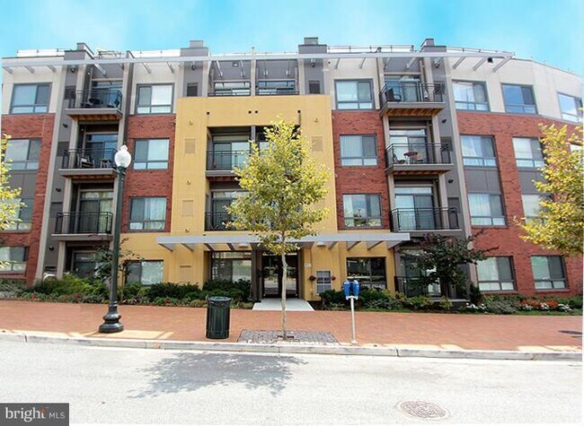8005 13th St #201 | Rentals in Silver Spring, MD