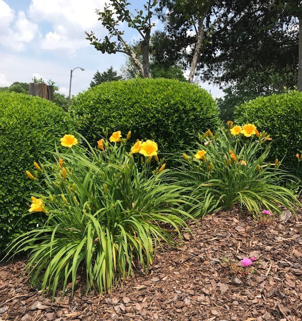 Granada Apartments & Townhomes | Decatur, AL Apartments