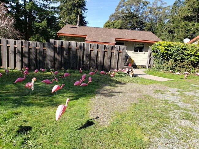 32280 Ellison Way | Rentals in Fort Bragg, CA