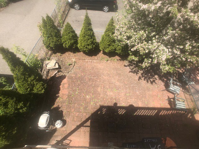 5 Hollis Pl | Rentals in Boston, MA