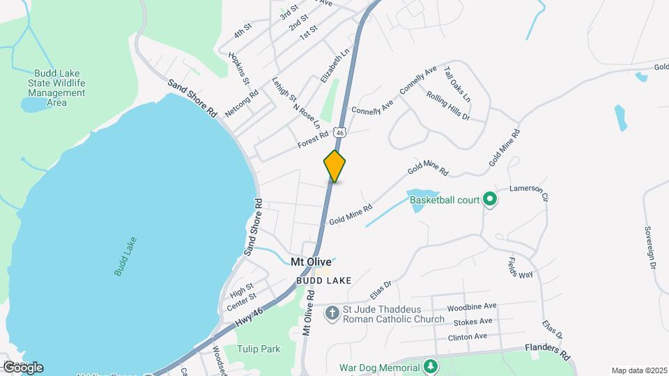 2-Single Family homes and 3-Family on Lot Apartments | Budd Lake, NJ ...