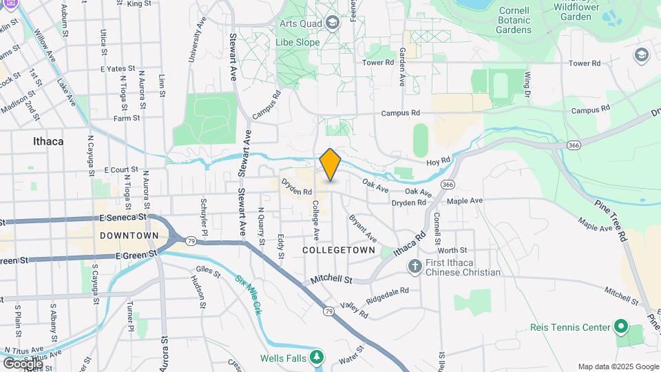 The Big Blue House-14-bedroom house Apartments | Ithaca, NY Apartments ...